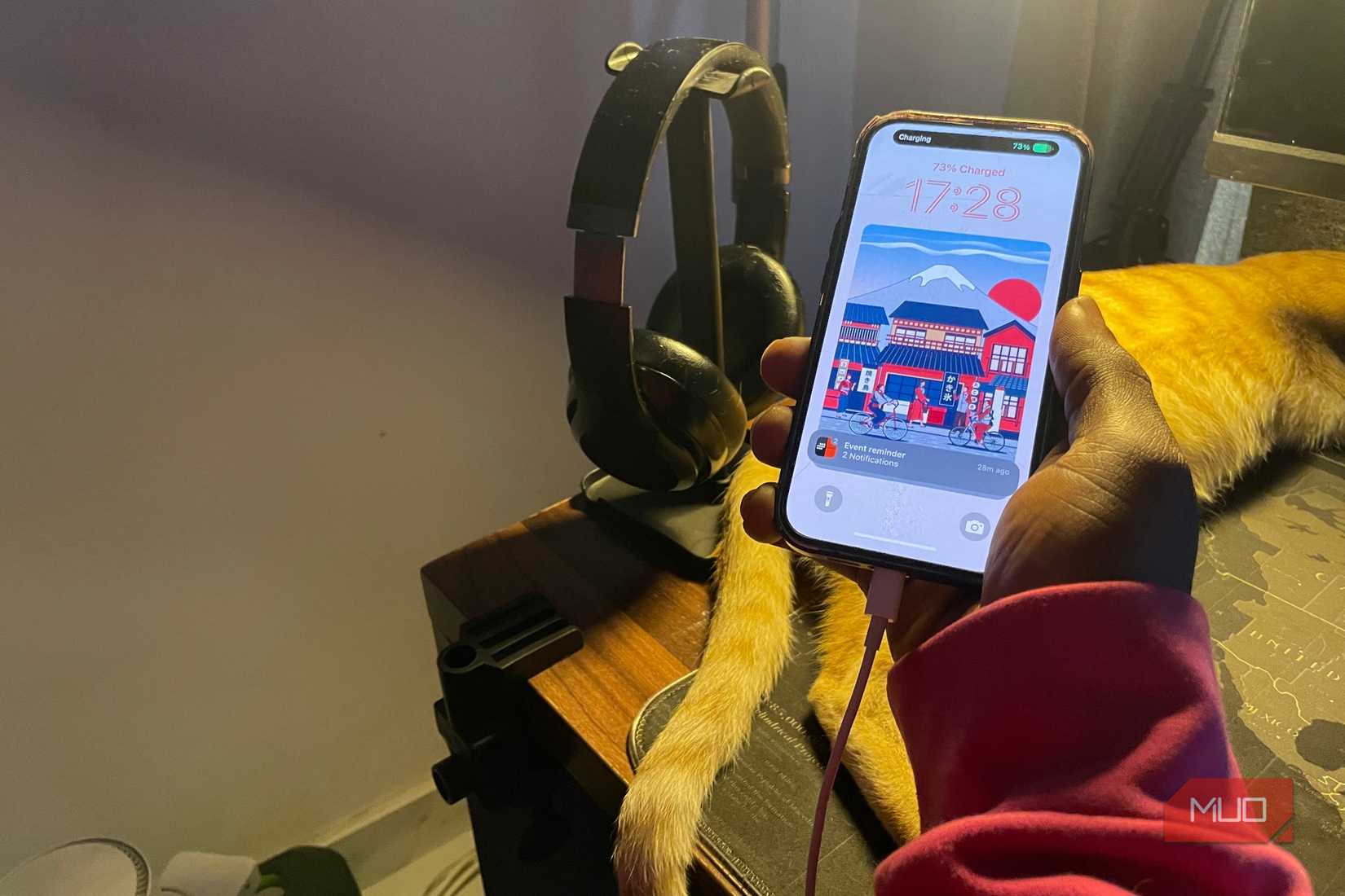 Don't Fall for These 10 iPhone Charging Myths