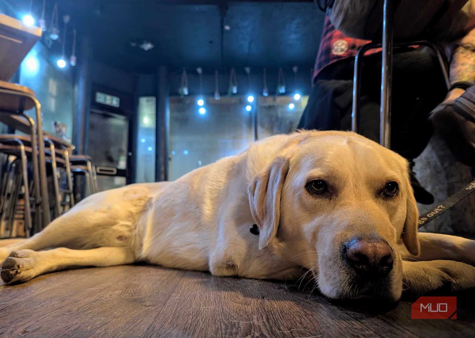 How to Take Great Low-Angle Photos With Your Smartphone