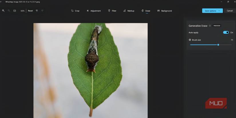 How to Use Generative Erase in Microsoft Photos