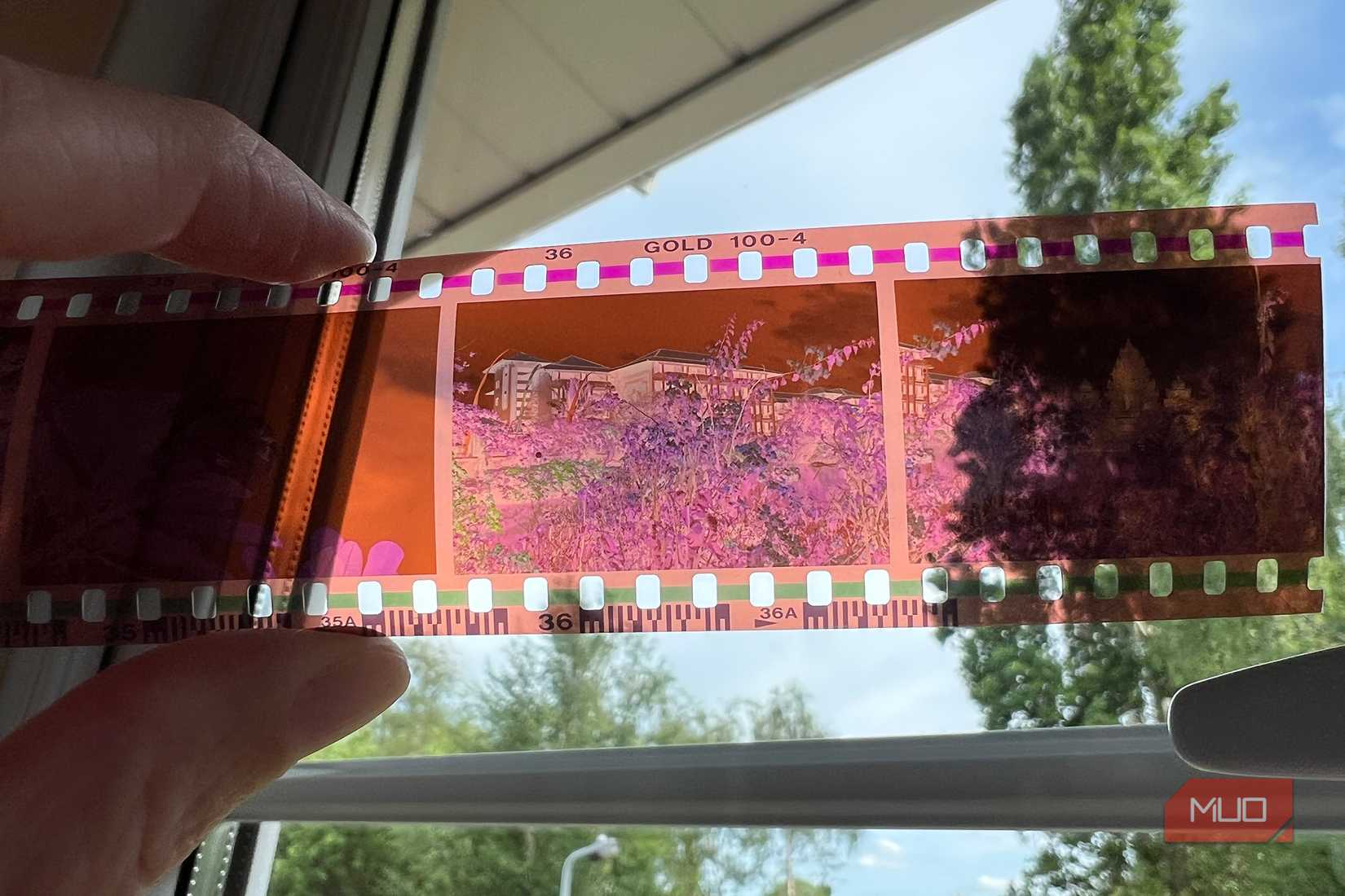 How to Scan Old Photos With Your Phone and Actually Make Them Look Good