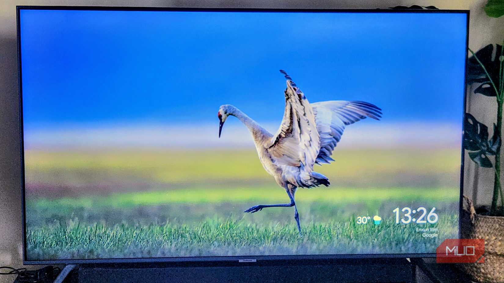 Why a Chromecast Is Still a Good Purchase in 2025