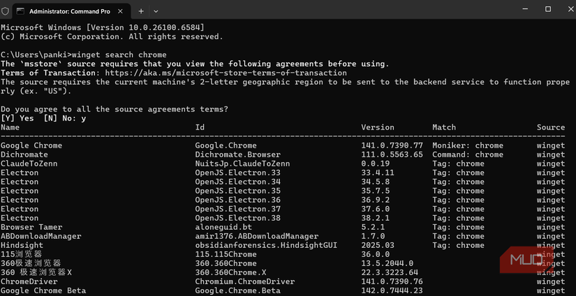 I don’t use the Microsoft Store or websites to install Windows apps anymore