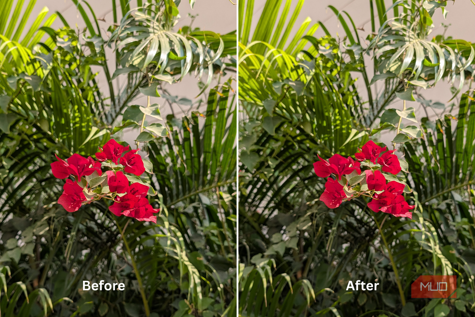 5 Pixel camera features that completely changed how I click photos